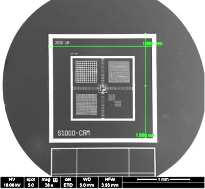 HS1000放大倍率校准标准样品 - 北京中科汇束科技有限公司